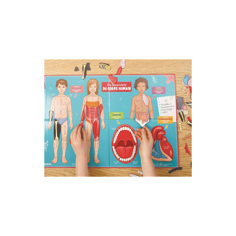 À LA DÉCOUVERTE DU CORPS HUMAIN (Coffret magnétique) - Jeux enfants...
